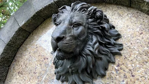 Uk Lion Head Stock Videos – Royalty-Free HD & 4K Videos | Pond5