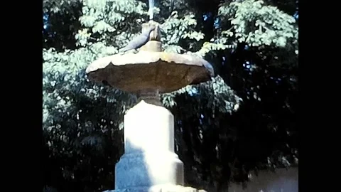 fountain in the park with pigeon 70s | Stock Video | Pond5