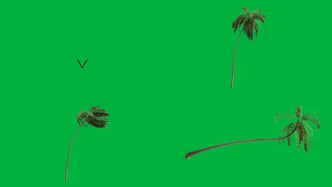 Four 2d character cartoon spiders animat... | Stock Video | Pond5