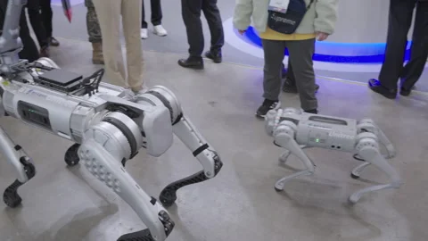 Make Ai Show Stock Videos – Royalty-Free HD & 4K Videos