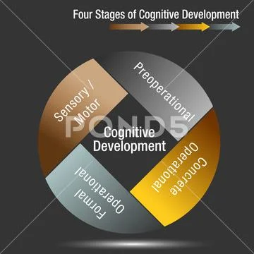 Four Stages of Cognitive Development: Graphic #88189413
