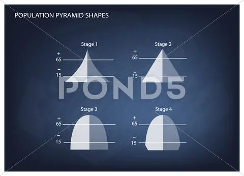 Four Types of Population Pyramids on Chalkboard Background: Royalty ...