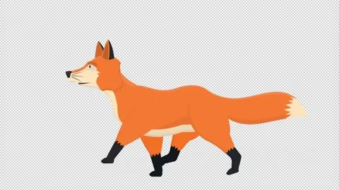 Fox. Animation of the fox animal. Cartoo... | Stock Video | Pond5