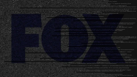 Fox and Company Stock Videos – Royalty-Free HD & 4K Videos | Pond5