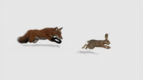 Fox Run Animation Stock Video Footage | Royalty Free Fox Run Animation ...