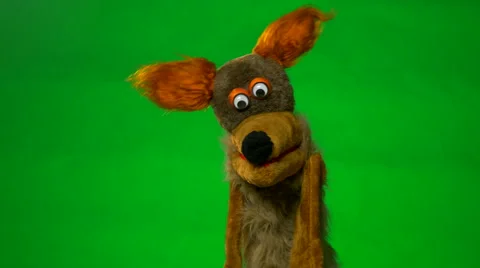 Green Screen Puppet Stock Footage ~ Royalty Free Stock Videos | Pond5