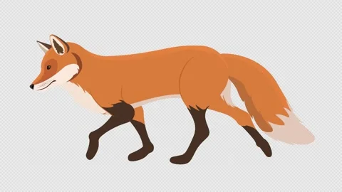 Fox Run Animation Stock Videos – Royalty-Free HD & 4K Videos