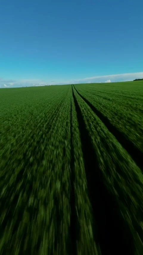 High En Stock Videos – Royalty-Free HD & 4K Videos