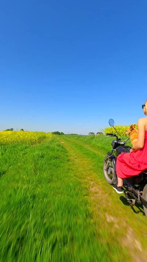 Vintage Woman Dress Stock Videos – Royalty-Free HD & 4K Videos | Page 3