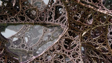 Full Flight Videos Stock Videos – Royalty-Free HD & 4K Videos | Page 5