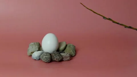 A fragile egg and a hard stone are on a ... | Stock Video | Pond5