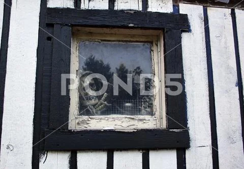 Frame from a horror movie-the skull looking out the window ~ Premium ...