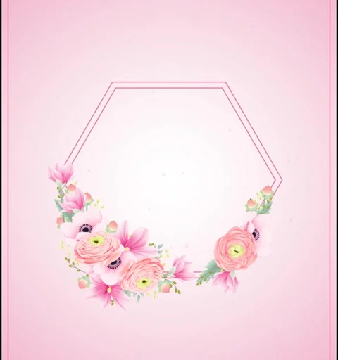 Pink Border Invitation Stock Videos – Royalty-Free HD & 4K Videos