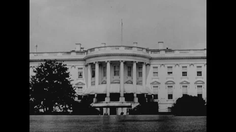 Hitler 3D Stock Footage ~ Royalty Free Stock Videos | Pond5