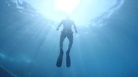 Free Diving Stock Footage ~ Royalty Free Stock Videos | Pond5