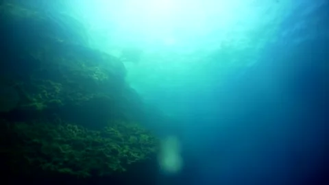 Free fall with rock Freediving with scub... | Stock Video | Pond5