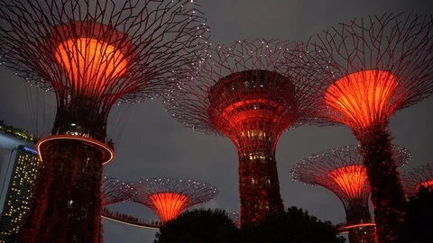 Freee Show Stock Videos – Royalty-Free HD & 4K Videos