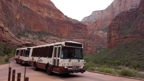 Shuttle Bus D Stock Videos – Royalty-Free HD & 4K Videos | Pond5