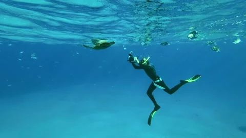 Freediver shots Sea Turtle which is rest... | Stock Video | Pond5
