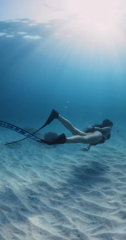 Blue Sh\ Stock Videos – Royalty-Free HD & 4K Videos | Pond5