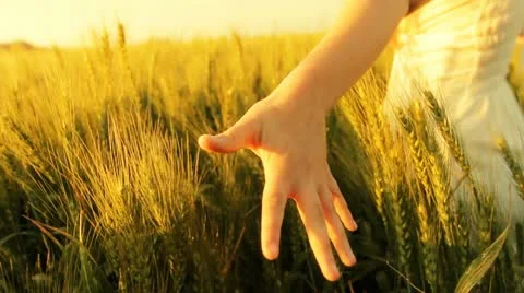 Organic Agriculture Stock Footage ~ Royalty Free Stock Videos | Pond5