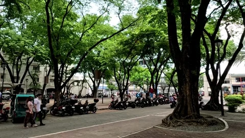 Freedom Park with Trees and Bench in Mar... | Stock Video | Pond5