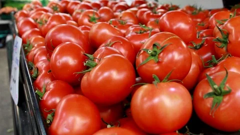 Clipping Box Stock Videos – Royalty-Free HD & 4K Videos