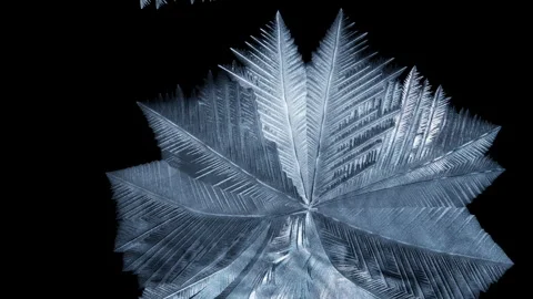 Freezing pattern spreading on a black ba... | Stock Video | Pond5