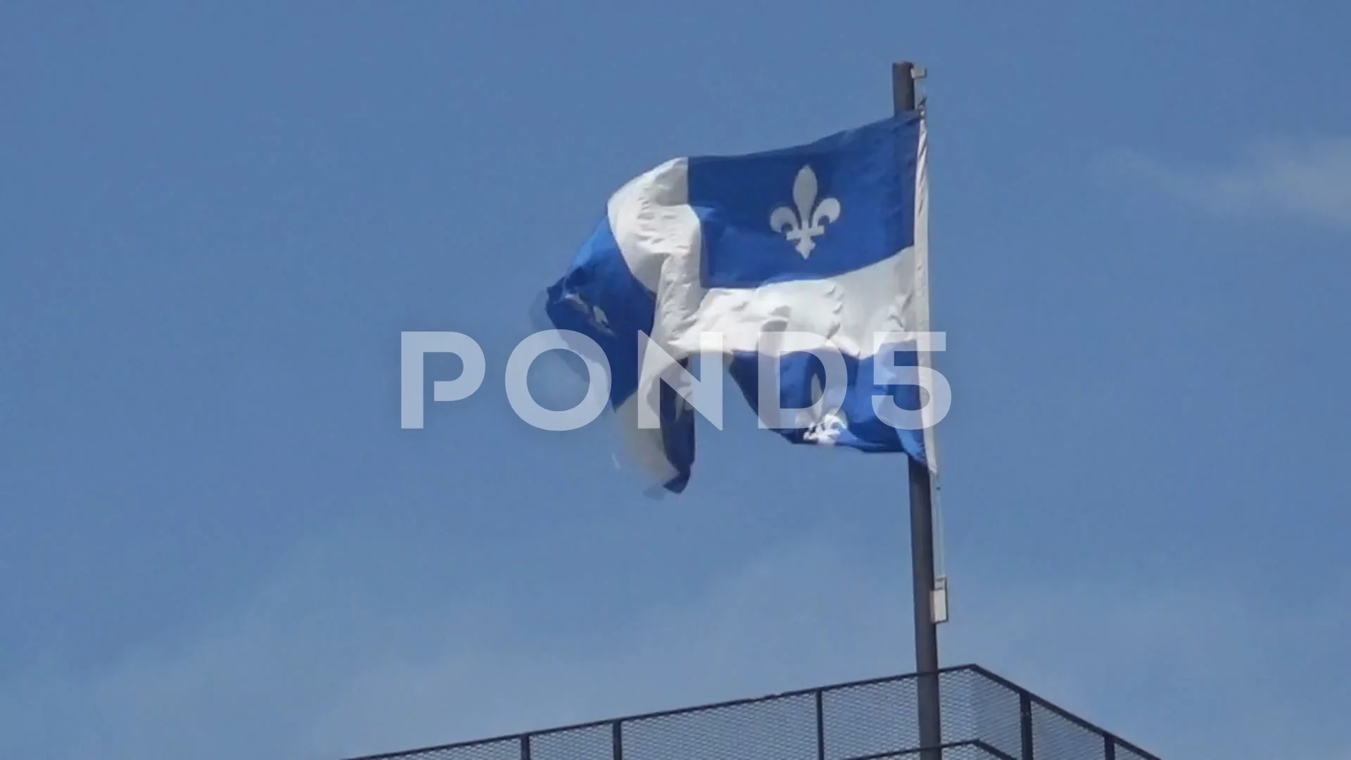 French Royal Flags