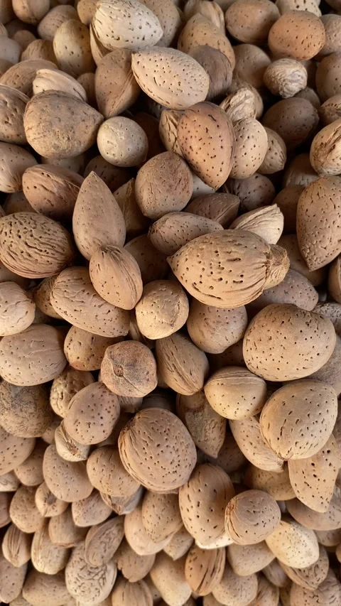 Pakistani Mixea Stock Videos – Royalty-Free HD & 4K Videos | Pond5