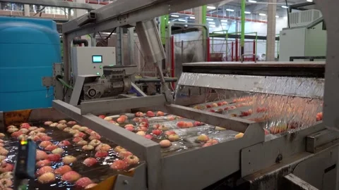 Fresh Apples Washing, Grading and Sortin... | Stock Video | Pond5
