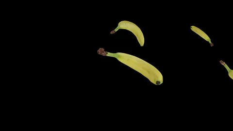 Fresh bananas falling down on black back... | Stock Video | Pond5