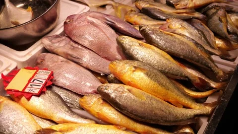 Fresh chinese fish on a market stall | Stock Video | Pond5