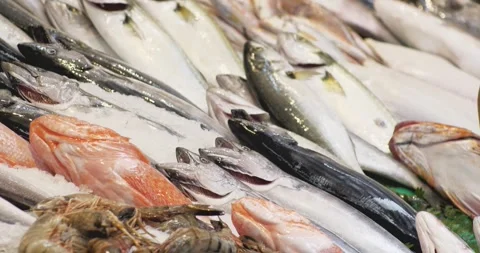Fresh fish in a large assortment on the ... | Stock Video | Pond5