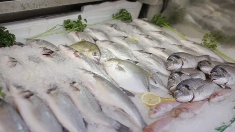 Fresh fish laying on ice in a fishmonger... | Stock Video | Pond5