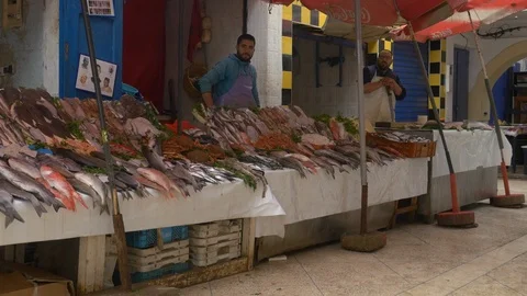 A fresh fish stall in Essaouira, Morocco | Stock Video | Pond5