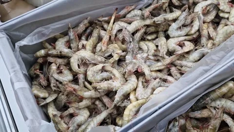 Fresh frozen shrimp in shell. Fish marke... | Stock Video | Pond5