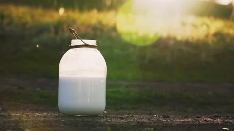 Fresh milk to filling a can on a dairy f... | Stock Video | Pond5