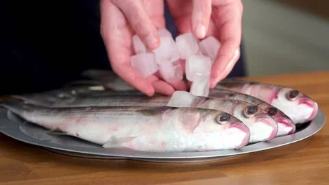 Fresh mullet fish with ice | Stock Video | Pond5