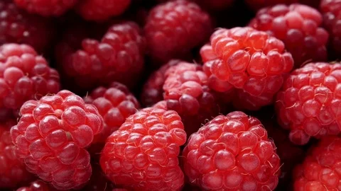 Fresh raspberry fruits as food backgroun... | Stock Video | Pond5