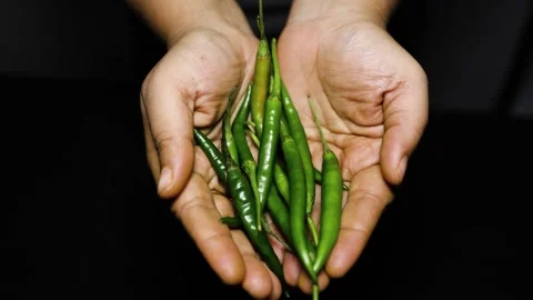 Chilli Black Background Stock Videos – Royalty-Free HD & 4K Videos