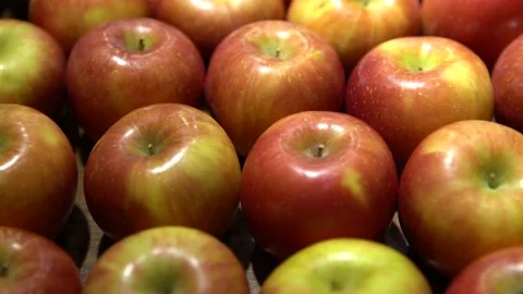 Fresh red apples on market counter. Appl... | Stock Video | Pond5