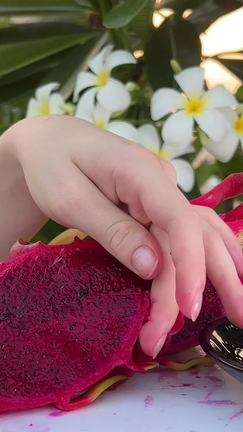 Swimming Dragon Stock Videos – Royalty-Free HD & 4K Videos