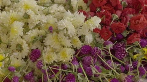 fresh ripe flowers preparing for pookala... | Stock Video | Pond5