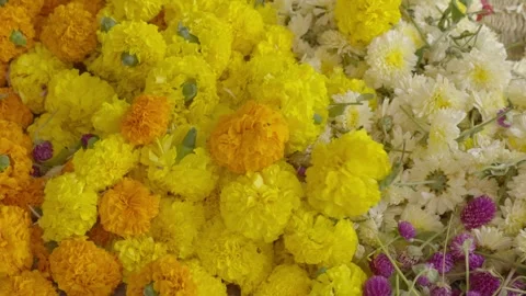 fresh ripe flowers preparing for pookala... | Stock Video | Pond5