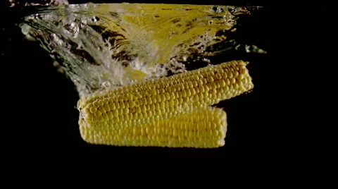 Fresh sweet corn falling into clear wate... | Stock Video | Pond5