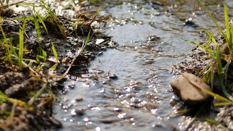 Fresh water freely flows into a paddy fi... | Stock Video | Pond5