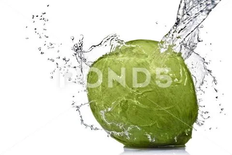 Photograph: Fresh water splash on coconut isolated on white fresh water ...