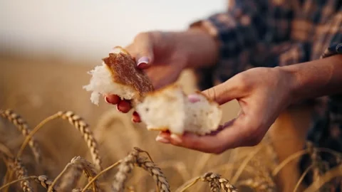 Hands Breaking Bread Stock Videos – Royalty-Free HD & 4K Videos | Page 3