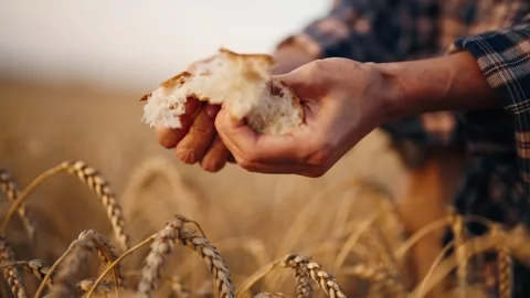 Hands Breaking Bread Stock Videos – Royalty-Free HD & 4K Videos | Page 3